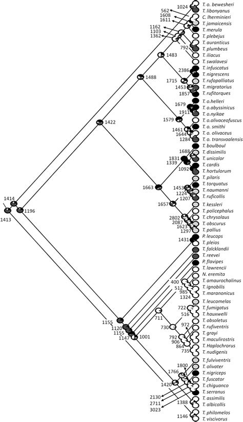 Maximum Likelihood Reconstruction Using A Markov K State One Parameter Download Scientific