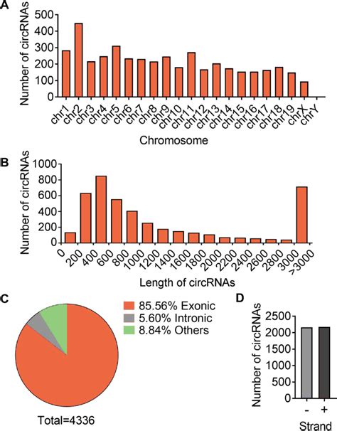 Differences And Characterizations Of CircRNA Expression Profile A Download Scientific