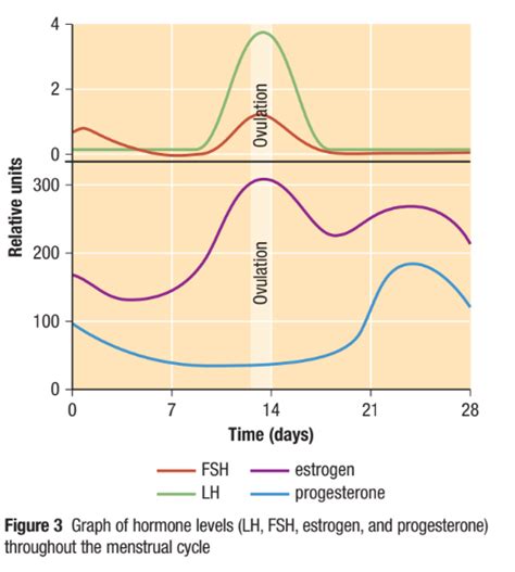 Solved D Construct A Graph From The Data Given In Table 1 Chegg Com