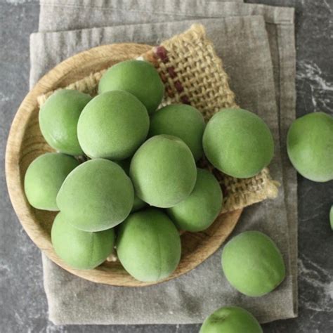 초록 매실 수확시기 효능 매실청 매실차 매실액 매실주 액기스 매실나무 가지치기 네이버 블로그