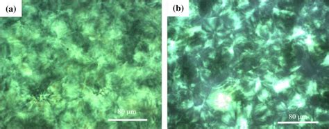 Pom Micrographs Of Pp 16530 With Different Annealing Temperatures A
