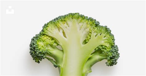 흰색 바탕에 녹색 브로콜리 사진 Unsplash의 무료 음식 이미지