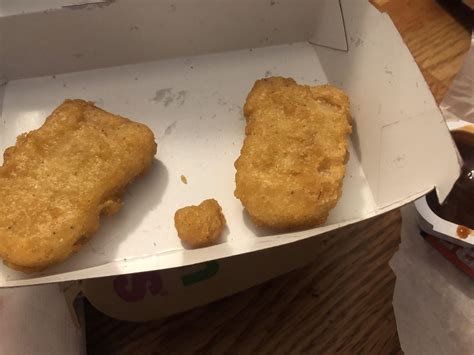 What Is This A Chimkin Nugget For Ants Thingsforants