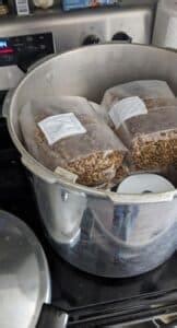 How To Make Perfect Grain Spawn Every Time