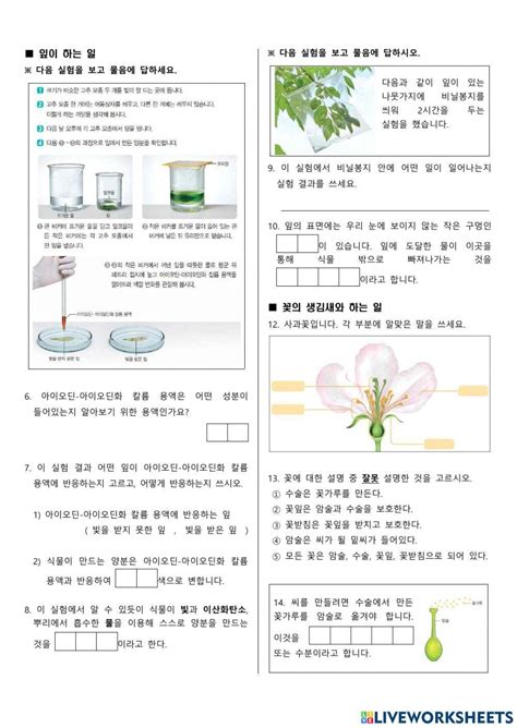6학년 4 식물의 구조와 기능 학습지은봉초 0557 Leeheeyoung Live
