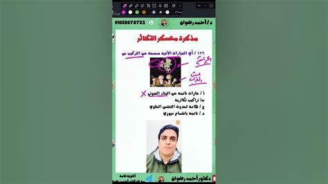 فطر بيشرب شيشة🤣🤣ثانويهعامه2025 احياءثالثةثانوى Youtube