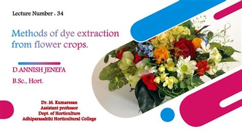 Methods Of Dye Extraction From Flower Crops Pdf