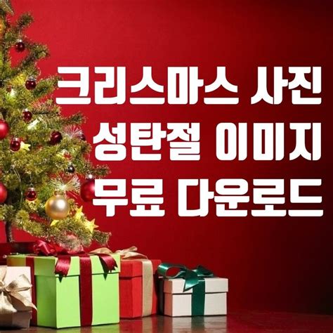 성탄절 이미지 저작권 없는 크리스마스 이미지 모음 무료 다운로드해서 크리스마스 카드 만드세요 Christmas Cards Christmas Tree