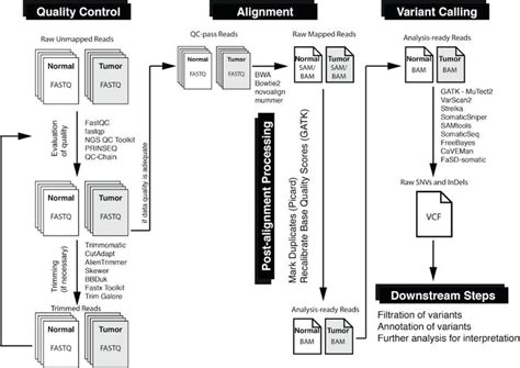 Bioinformatics Workflows For Genomic Variant Discovery Interpretation And Prioritization