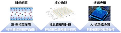 肖凯教授课题组