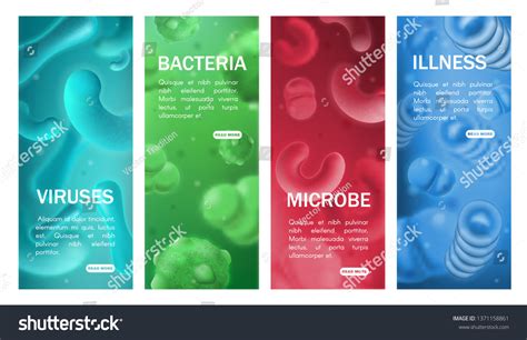 바이러스 박테리아 미생물 그리고 감염성 질병 스톡 벡터로열티 프리 1371158861 Shutterstock