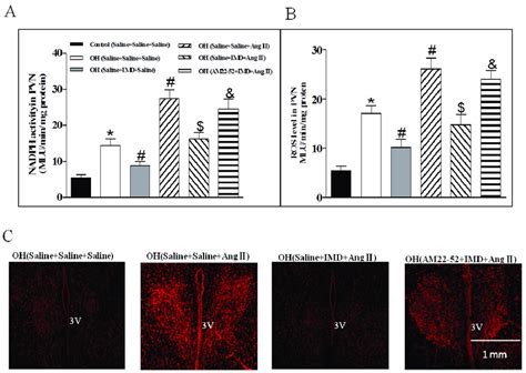 Effects Of A Pvn Microinjection Of Saline Ang Ii 0 3 Nm Or Imd 50 Download Scientific