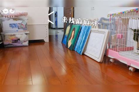 和小狗捉迷藏，三局两胜谁赢了小狗