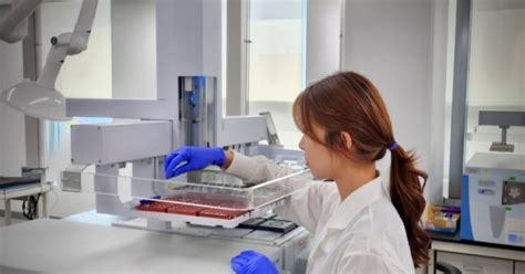 경기지역 방울토마토·미니 파프리카 등 잔류 농약 이상무