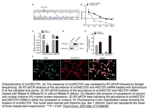 Actinomycin D Apexbio貨號 A4448