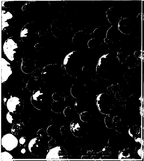 Figure 1 From The Effect Of Chain Kinks On The Phases And Structure Of