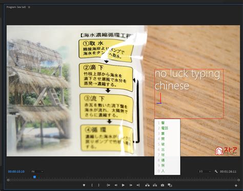 Not Able To Type Chinese Character After Updating Adobe Product