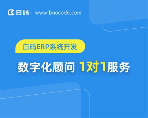 erp一个小模块开发需要多久 erp系统开发周期 白码