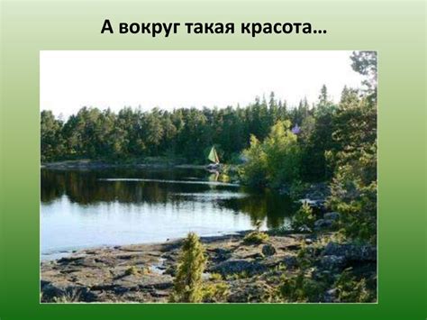 20121031 Orientirovanie 2011 Online Presentation