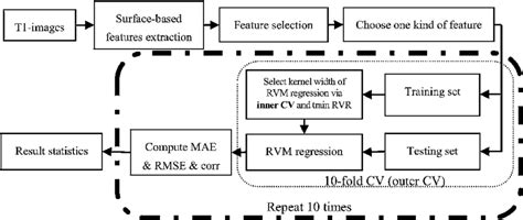 The Pipeline Of Age Estimation Model Download Scientific Diagram