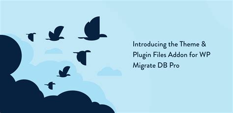 Introducing The Theme And Plugin Files Addon For Wp Migrate Db Pro