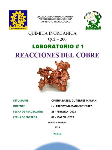 Reaccion De Oxidacion Y Reduccion Pdf Cobre Precipitación Química