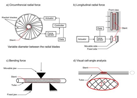 A Scheme Of The In House Built Setup To Measure The Circumferential