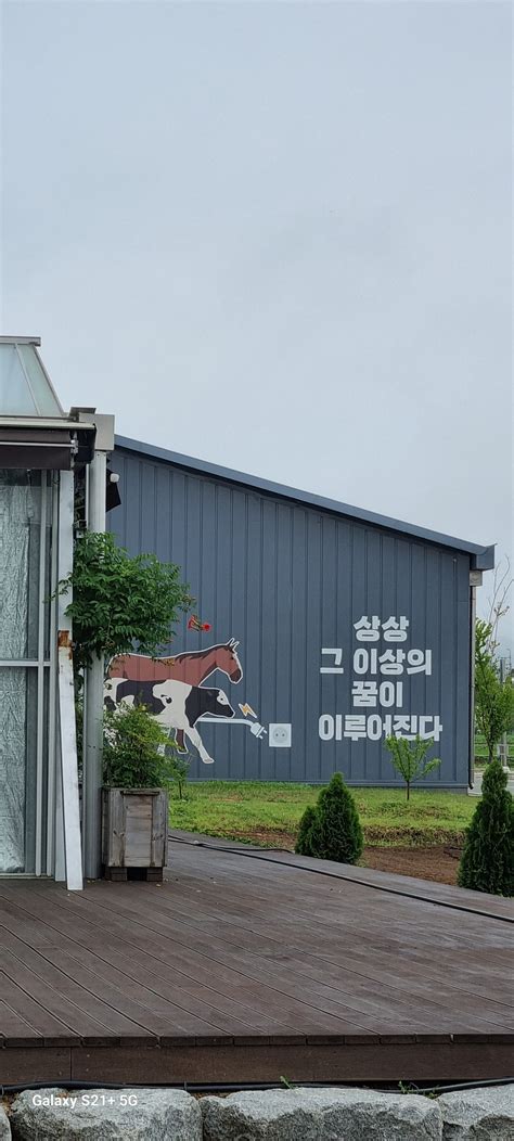 상상 그 이상의 꿈이 이루어진다