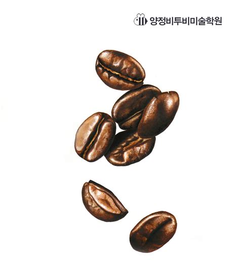 양정비투비미술학원 자연물 사실표현 학생작 커피 커피콩 원두 향기나는그림 일러스트 사실표현 개체묘사 기초디자인