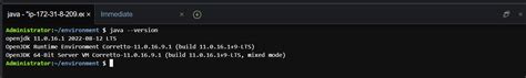 setup aws cloud9 for java and spring boot development modern technologist