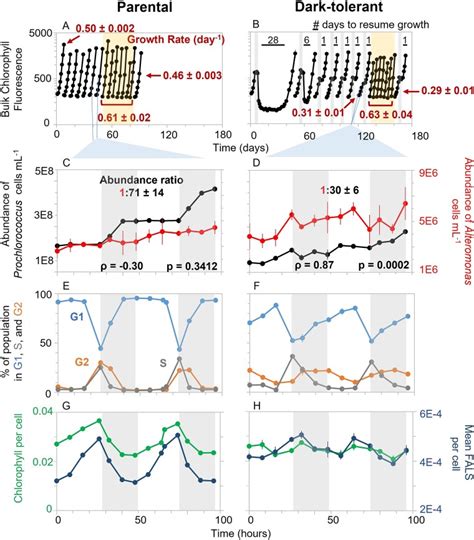 Emergence Of Metabolic Coupling To The Heterotroph Alteromonas Promotes Dark Survival In