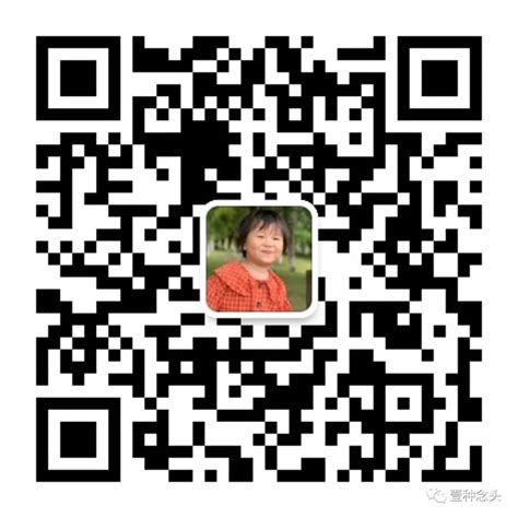 Unity Mesh基础系列（一）生成网格（程序生成） Csdn博客