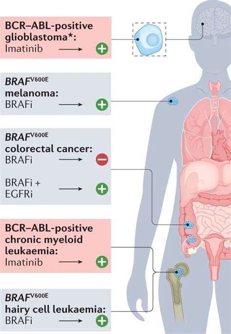 《自然评论·癌症》：未来十年，精准肿瘤学仍需破解的六大谜题！ 生物科技 健康一线资讯