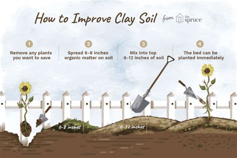 Understanding Clay Soil And How To Improve It