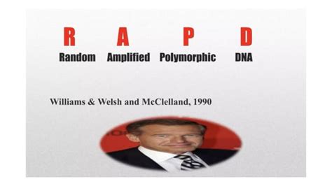 Marker Aided Breeding In Plants For Crop Improvement Rapd Rflp Scar Markers Pptx