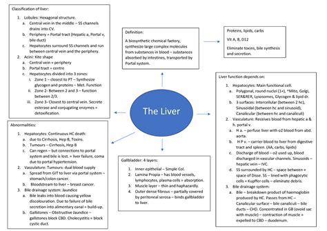 Histology The Liver Summary Mind Map The Liver Definition A
