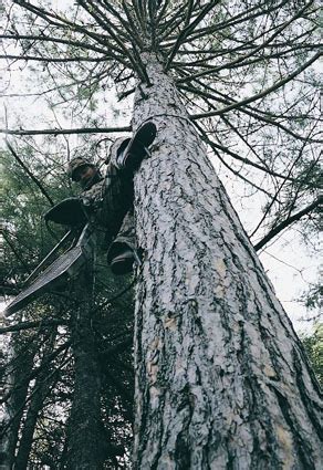 Treestand Hunting TricksPart Grand View Outdoors