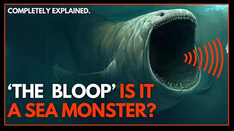 What Happened To The Bloop Bloop Audio Bpjn