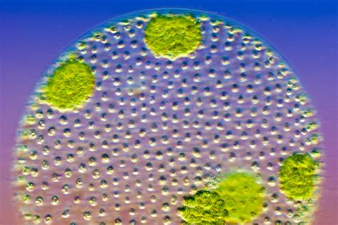 When It Comes To Sex Size Does Count