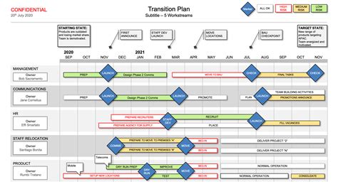 Business Process Transition Plan Template Parahyena