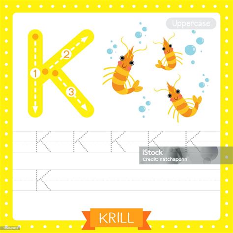 레터 K 어퍼 케이스 트레이싱 연습 워크 시트 의 크 릴 갑각류에 대한 스톡 벡터 아트 및 기타 이미지 갑각류 교육 다중 색상 Istock