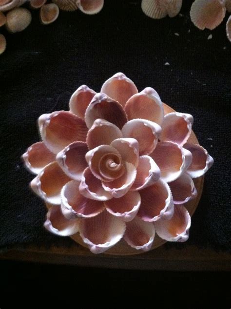 Shell Flower Artigianato Con Conchiglie Oggetti Di Conchiglie