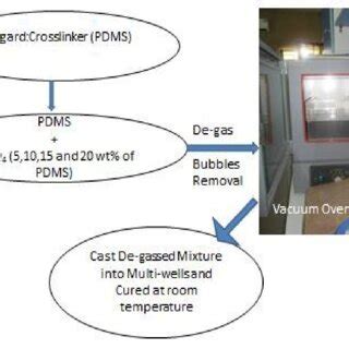 Illustration Of Sample Preparation Download Scientific Diagram
