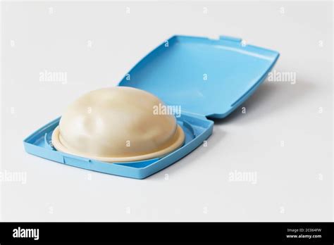 Diaphragm Definition Birth Control At Micheal Wilder Blog
