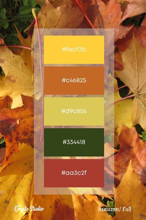 Fall Color Palette Scheme With Hex Codes