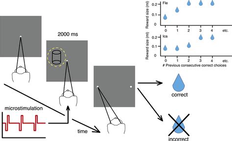 Figures And Data In Reward Modulates The Effect Of Visual Cortical Microstimulation On