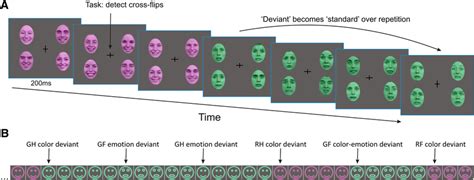 Stimuli And Paradigm A We Used A Multifeature Visual Roving Standard Download Scientific