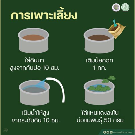 💚 เพาะพันธุ์ “แหนแดง” ได้ไม่ยาก กรมส่งเสริมการเกษตร Facebook