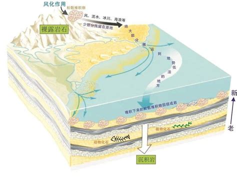 沉积岩的形成过程 沉积岩的 伤感说说吧