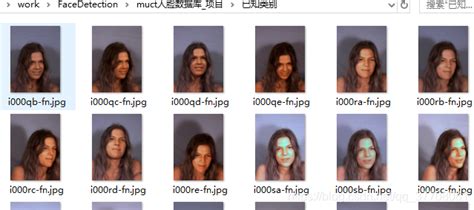 模式识别课程设计，opencv实现人脸识别以及识别率，python（完整代码） Csdn博客